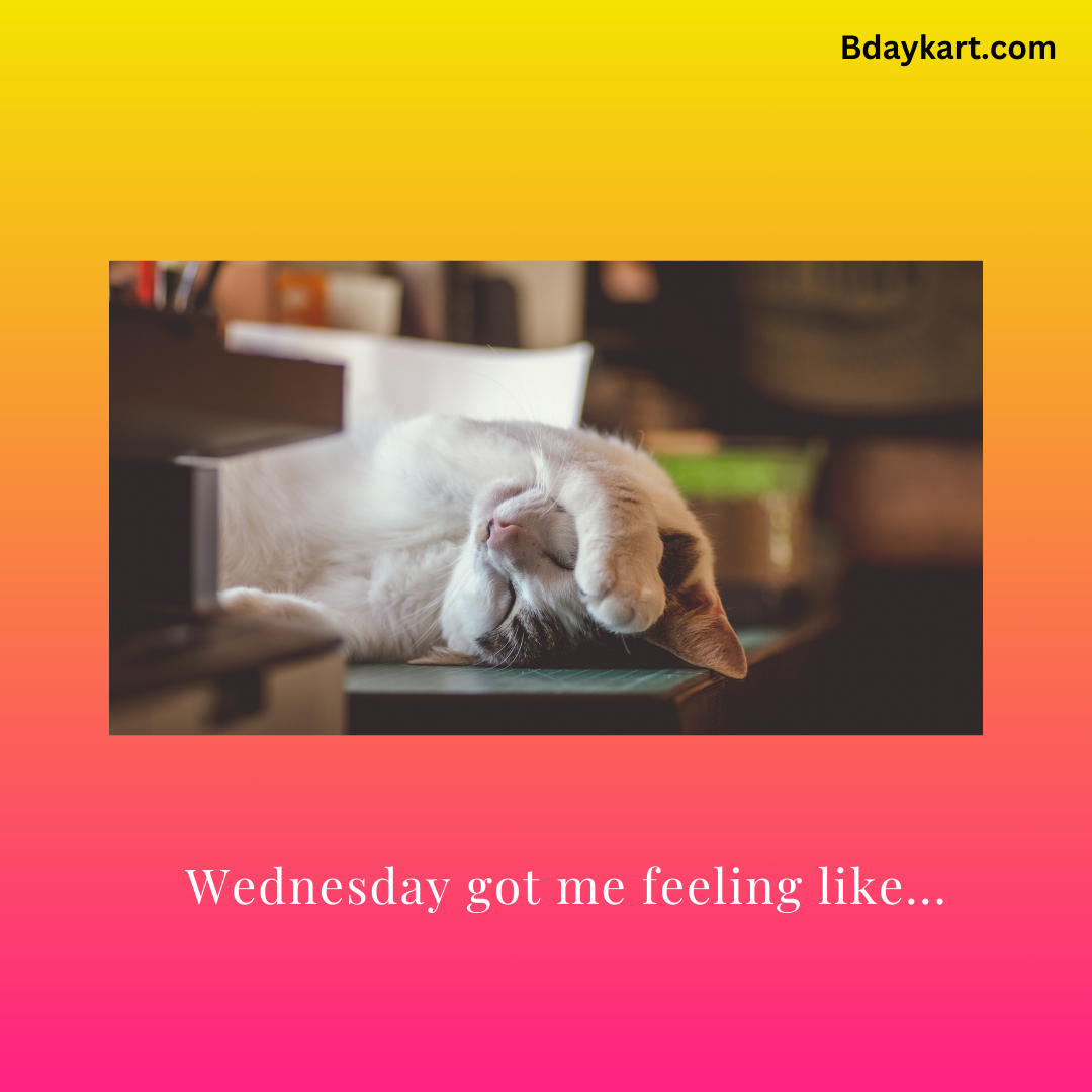 Funny Wednesday Quotes for Work - Bdaykart.com
